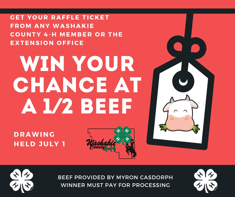 4-H Beef Raffle | Washakie County 4-H