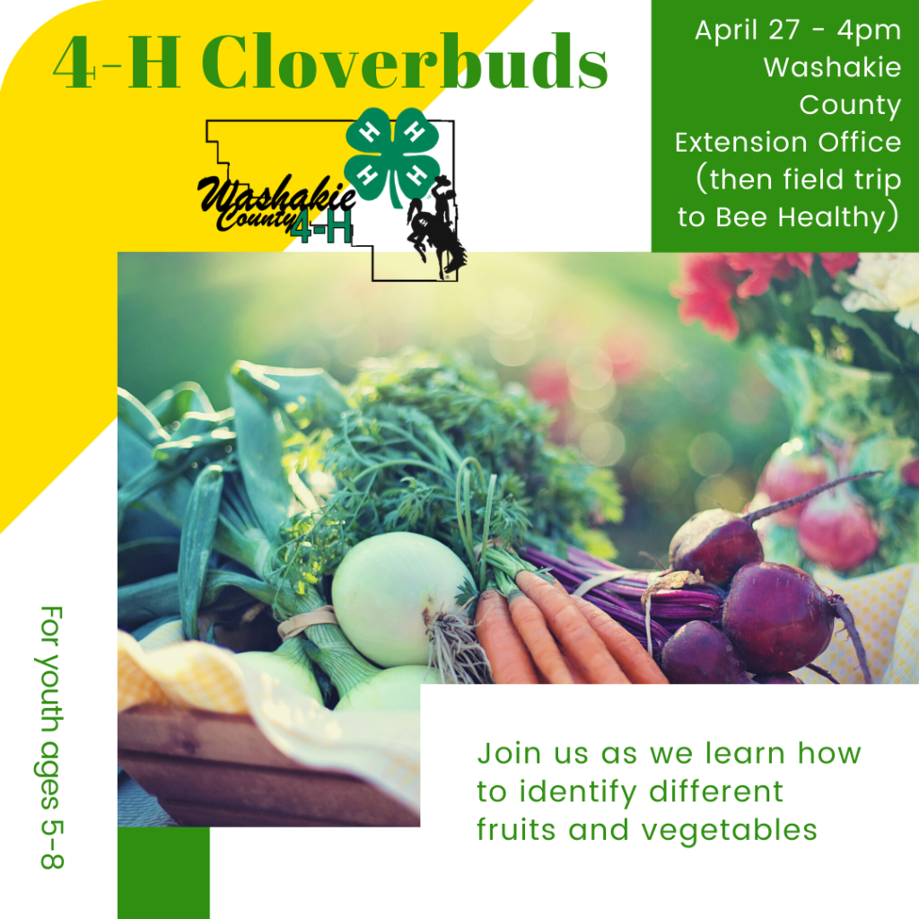 Cloverbuds | Washakie County 4-H
